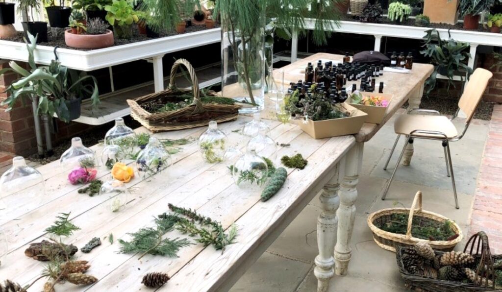 「GOMITAIJI」も参加！子どもの非認知能力を育む「WONDER NATURE LABO」とは - #casa