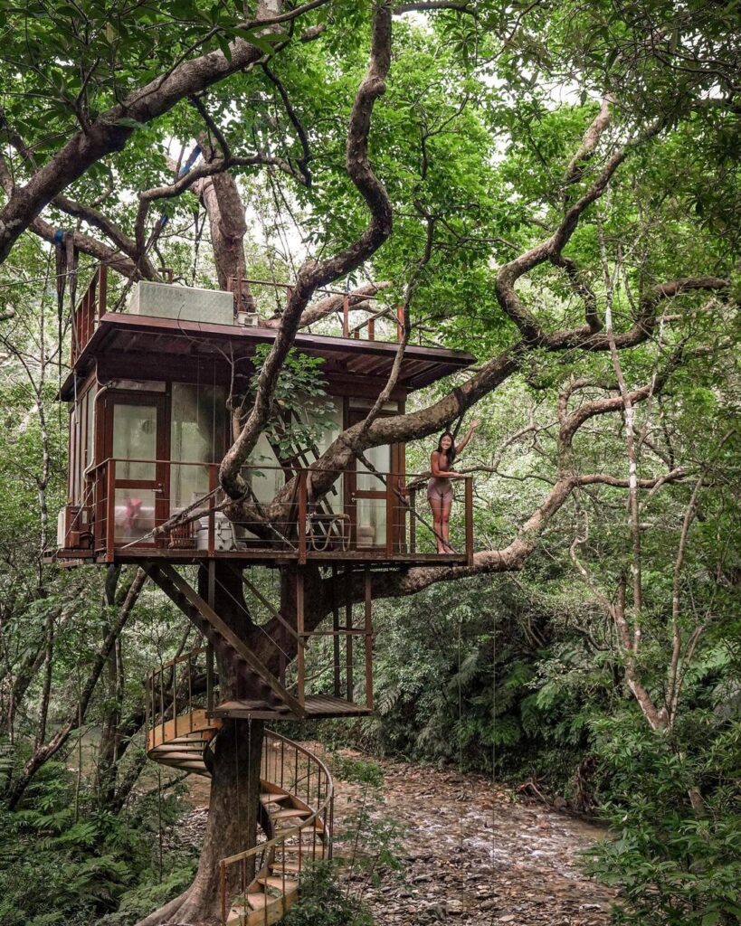 Treeful Treehouse Sustainable ResortのCMOブランド責任者・菊川万葉さん「人間は自然の一部であることを忘れ ...