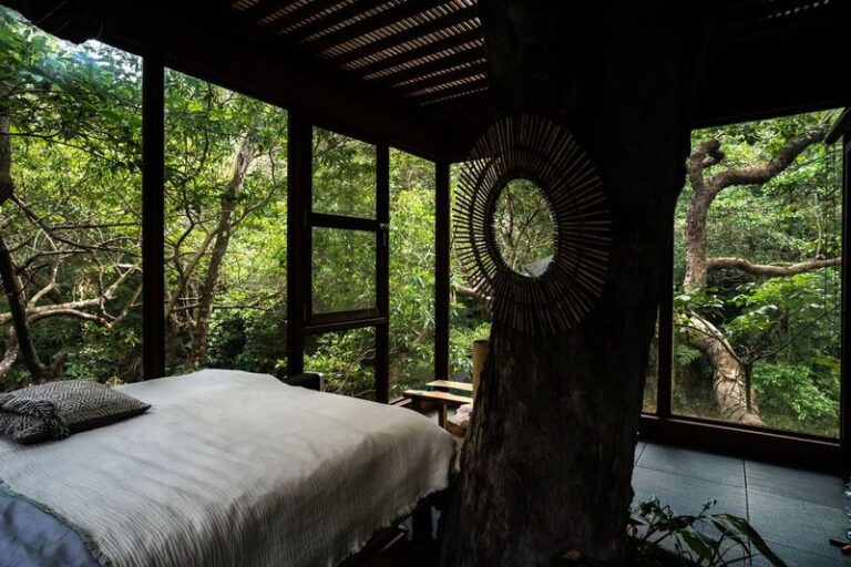 沖縄、やんばるの森の自然と共存するツリーハウスリゾート「Treeful Treehouse Sustainable Resort」 - #casa