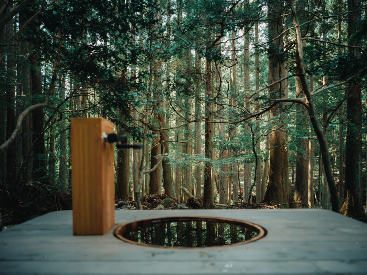 プライベートサウナ付きタイニーハウスの宿泊施設「Tiny Base The MOUNTAiN」が天城山の高原の中にオープン！ - #casa