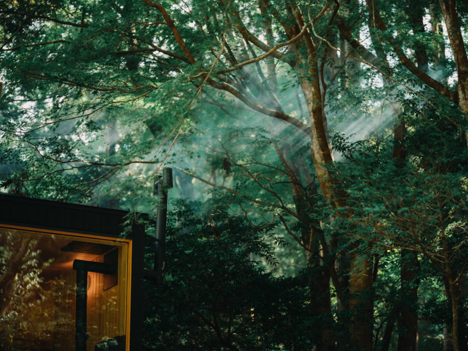 プライベートサウナ付きタイニーハウスの宿泊施設「Tiny Base The MOUNTAiN」が天城山の高原の中にオープン！ - #casa